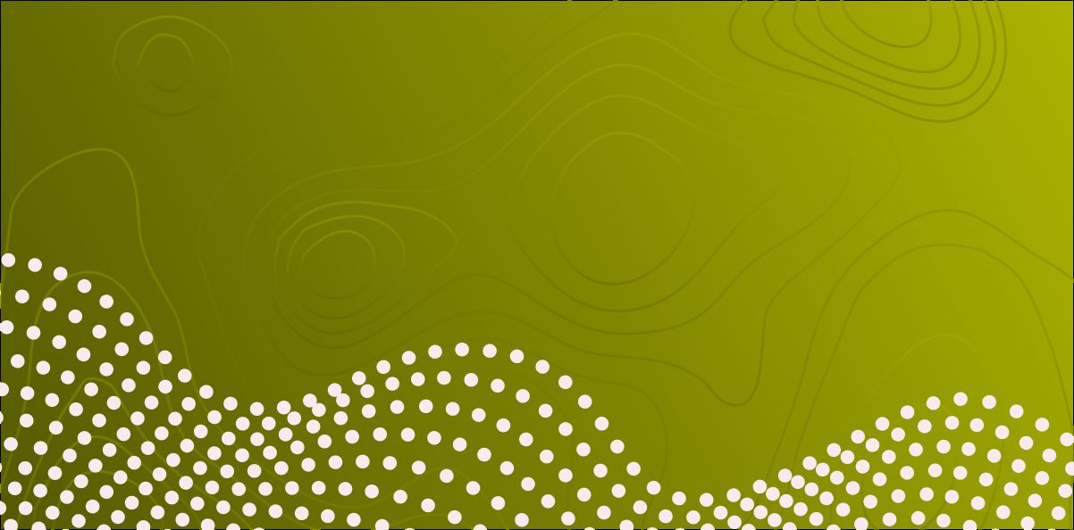 Celebrating 20 years of netalytics