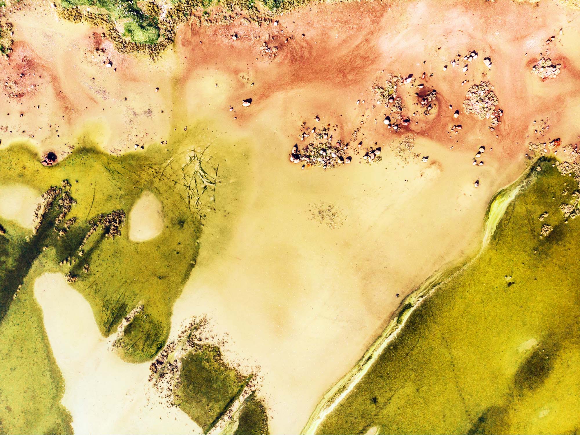 EFETalytics - analysis of the EFET electricity, Gas and CPMA opinions